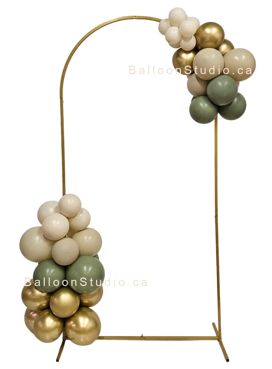 [3 DAY RENTAL] Single Curved Metal Backdrop Arch Graduation Balloon ...