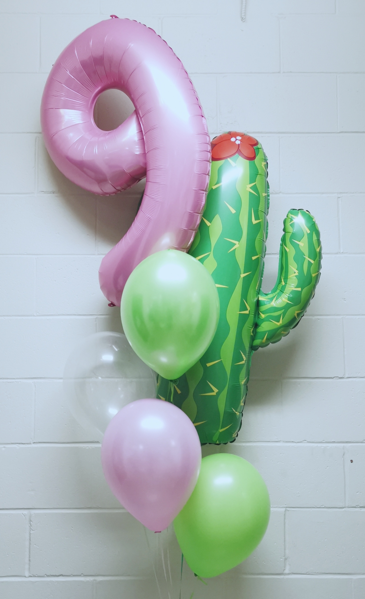 Cactus Fiesta Pick An Age balloons vancouver JC Balloon Studio